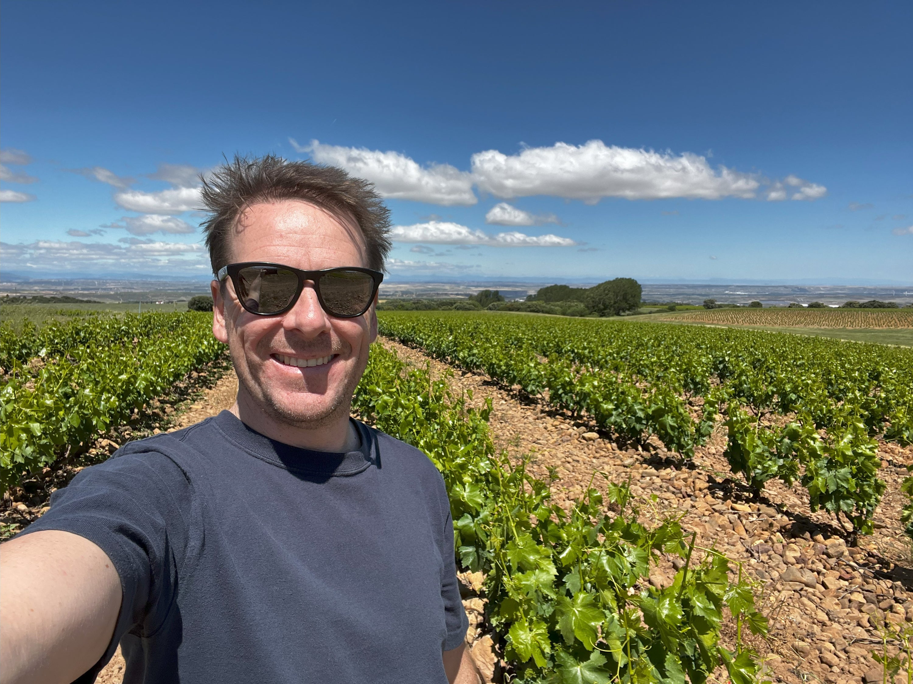 Vinya Vella - Meristem Viticulture